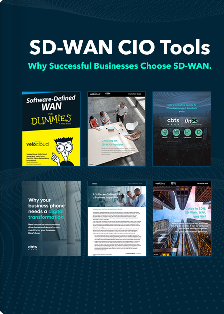 SD-WAN CIO Tools - Why Successful Businesses Choose SD-WAN. – Learn how ...